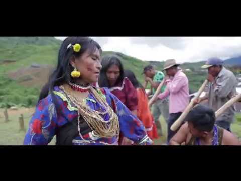 Música tradicional Embera Katio - YouTube