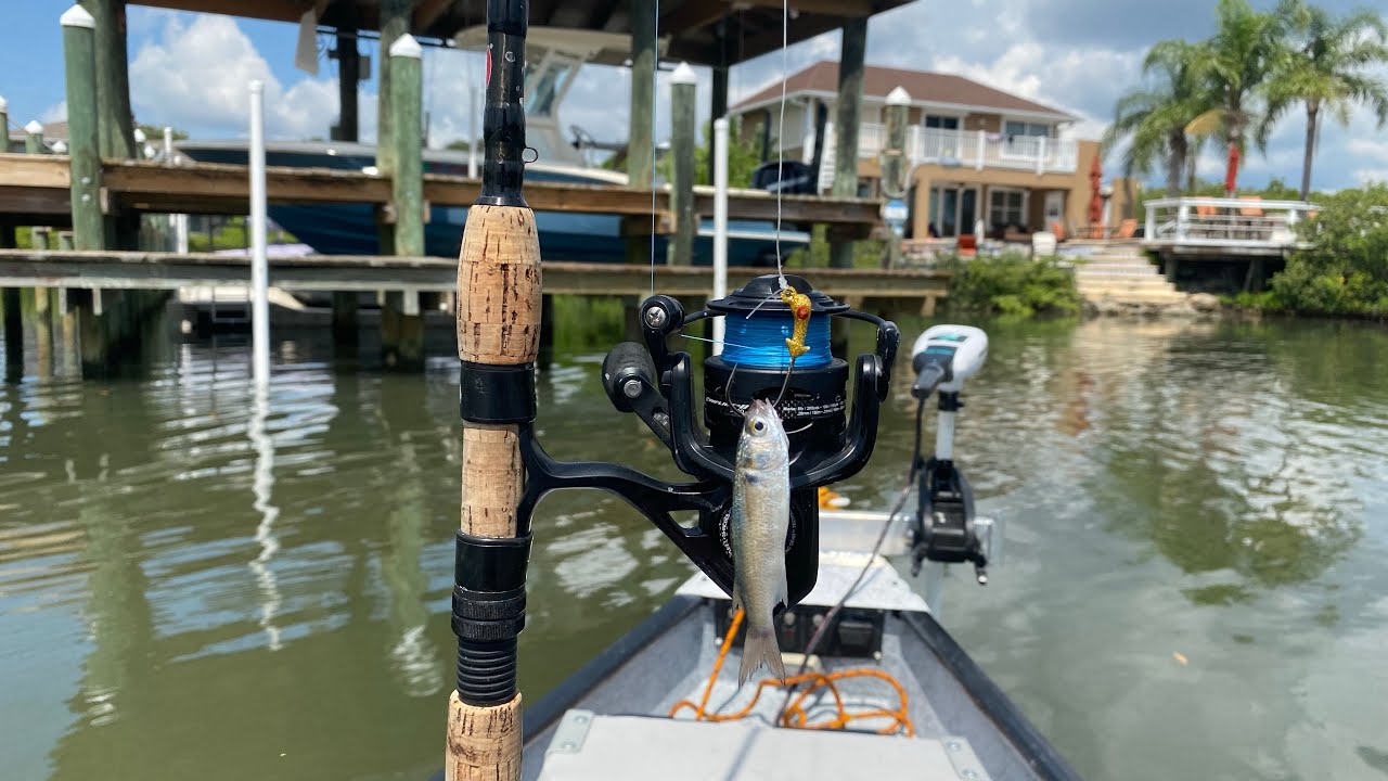 Fishing Docks With Live Finger Mullet - Mosquito Lagoon - YouTube