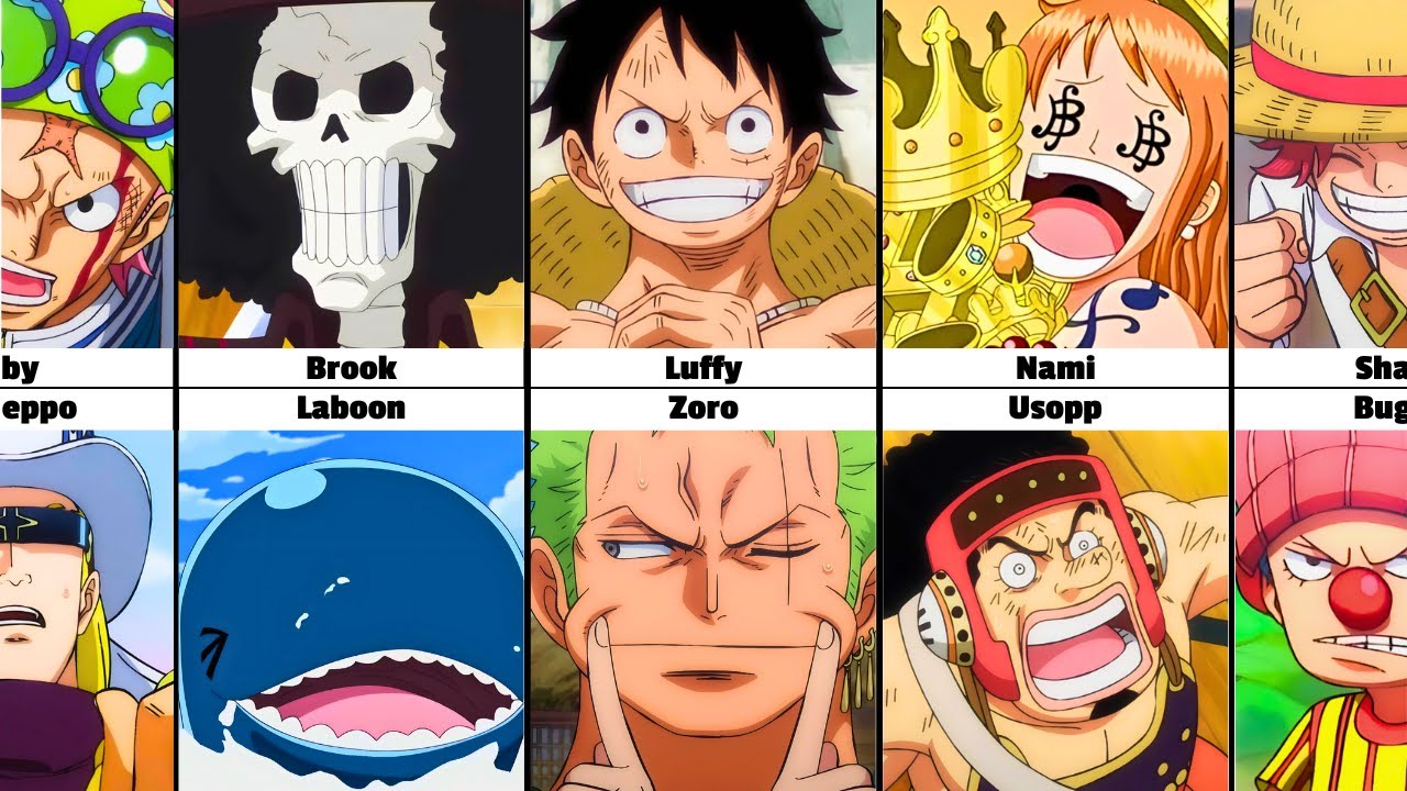 Best Friends of One Piece Characters - YouTube