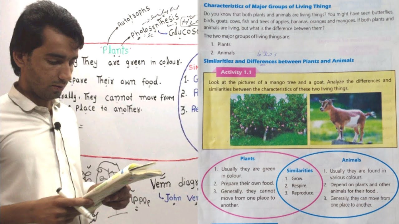 Similarities And Differences Between Plants And Animals |4th Class ...
