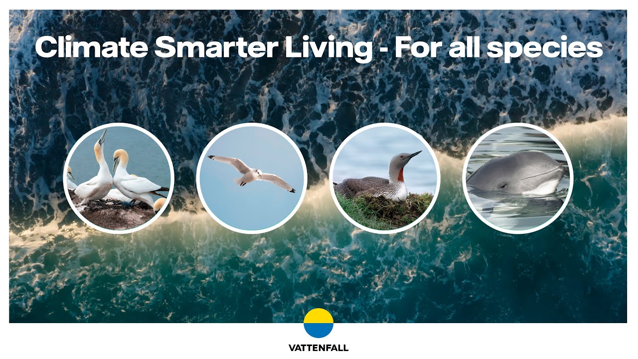 Biodiversity at Vattenfall - YouTube