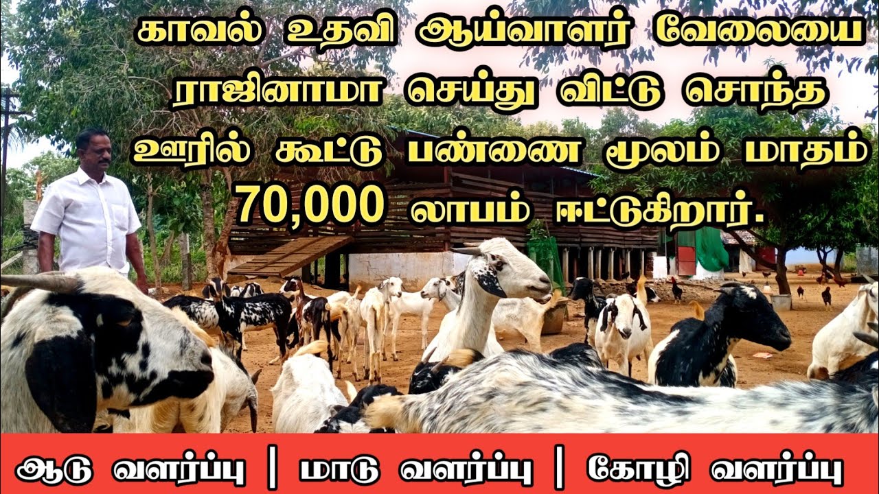 காவல்துறை | கூட்டுப்பண்ணை மூலம் மாதம் ₹70,000 வருமானம் | Selvam Goat ...