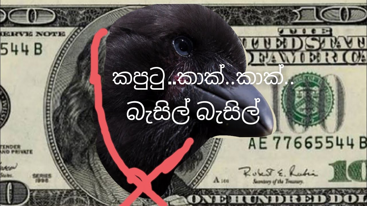 kaputu kaaak kaaak kaak basil(කපුටු කාක් කාක් කාක් බැසිල් බැසිල් ...