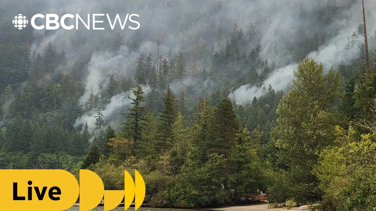 B.C. fire officials provide update on Wesley Ridge wildfire near ...