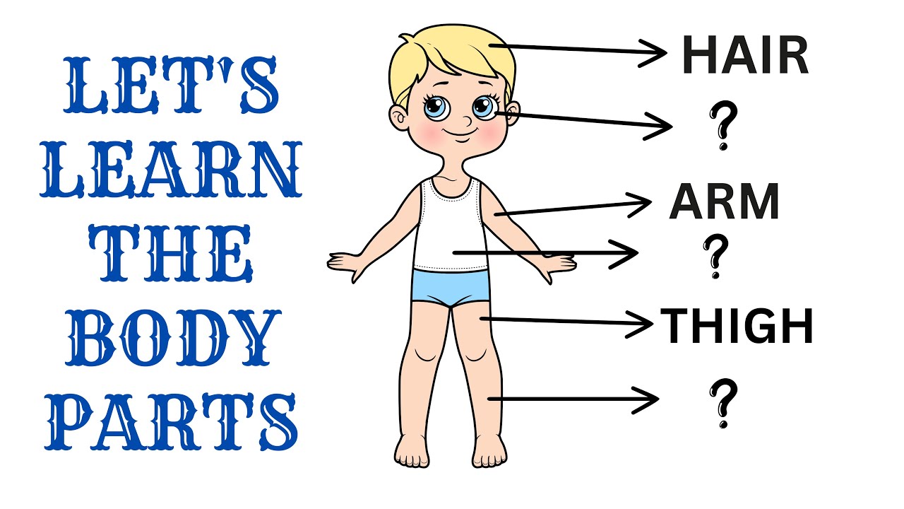 Learn Body Parts for Kids | Fun and Educational Video - YouTube