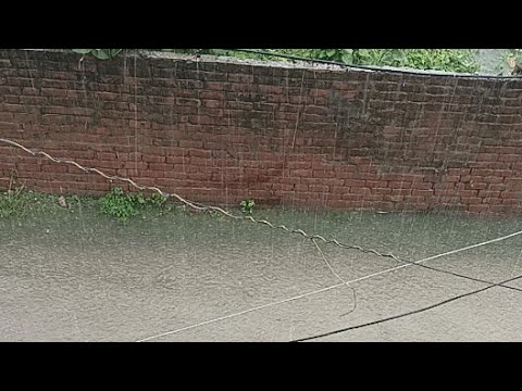ambala heavy rain live - YouTube