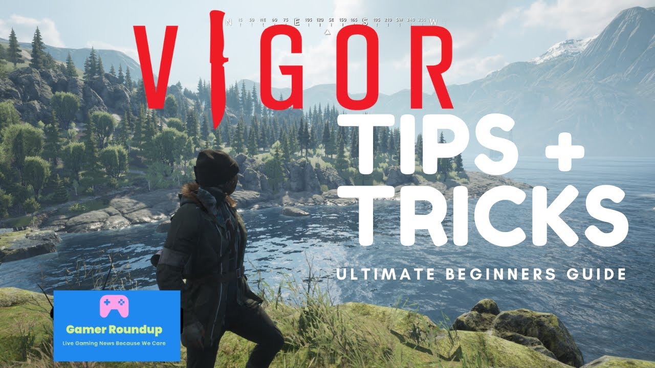Beginners guide Top 10 Vigor tips 2022 - YouTube