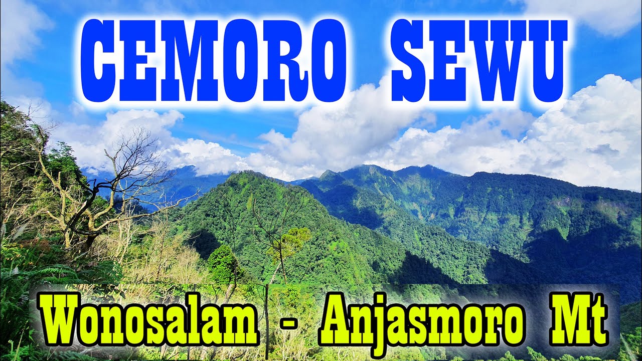 Puncak Cemoro Sewu 2282MDPL Gunung Anjasmoro - Wonosalam | Dari Pos ...