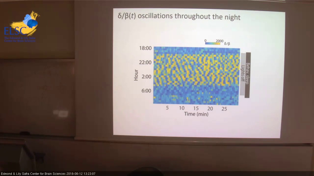 ELSC Seminar - Dr. Mark Shein-Idelson - 12.06.2018 - YouTube