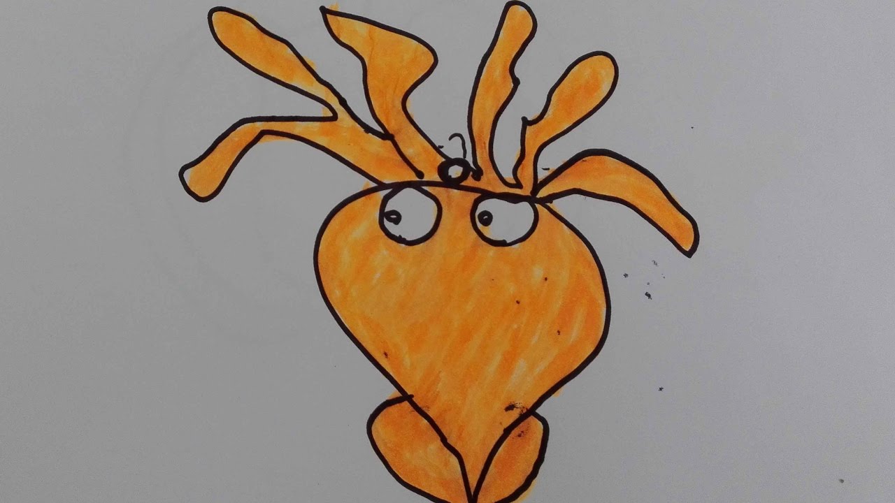 How to draw a squid- draw a giant squid step by step- realistic squid ...