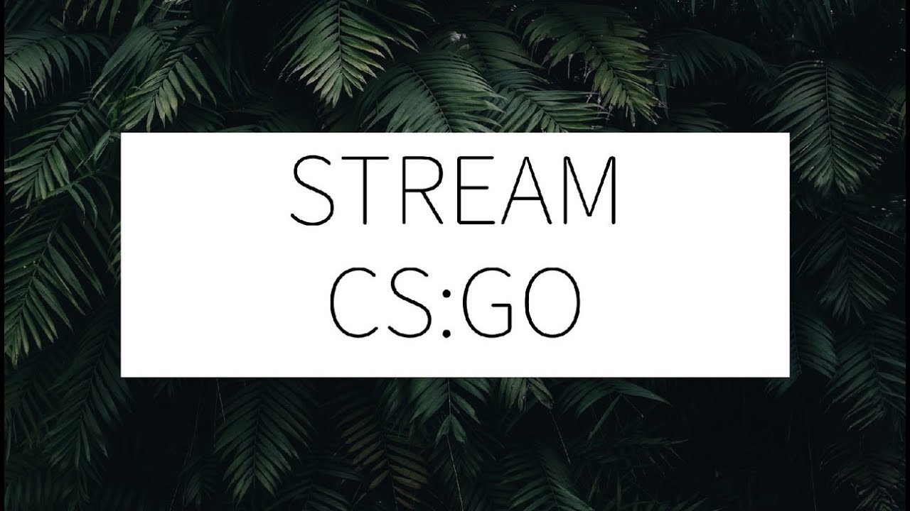 CS:GO |∆| STREAM - YouTube