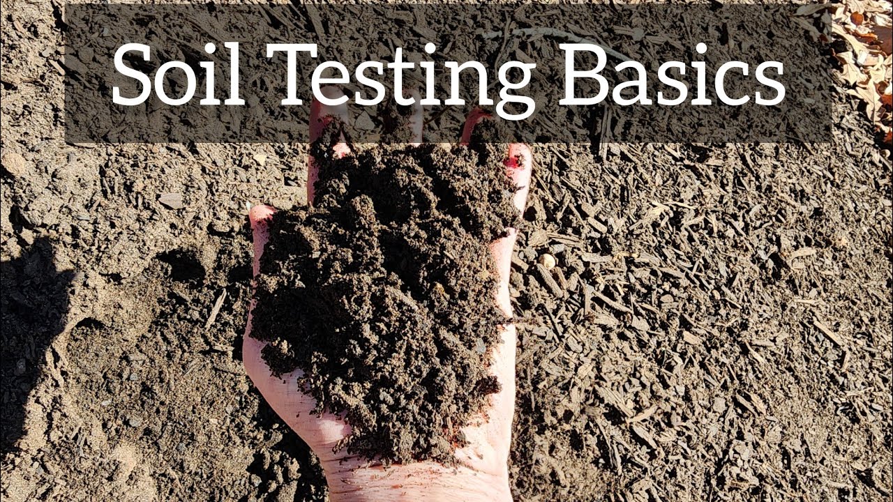 Soil Testing Basics - YouTube