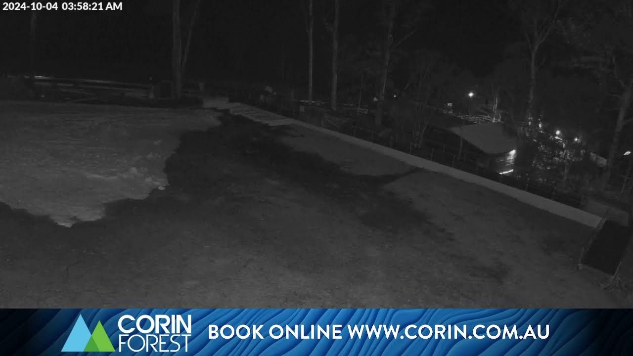 Corin Forest Snowplay Area - YouTube