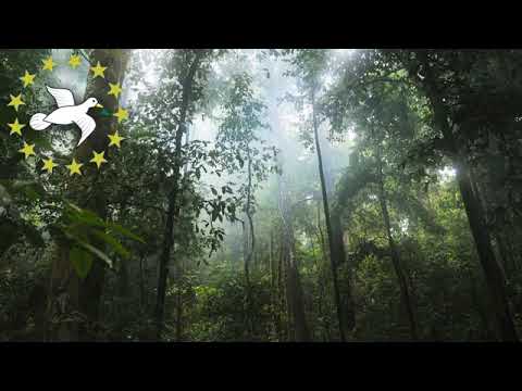 Ambazonia National Anthem