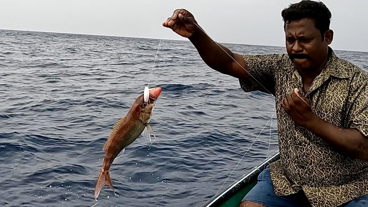 Back to Back Rosy Snapper Fish Caught in the Sea - YouTube