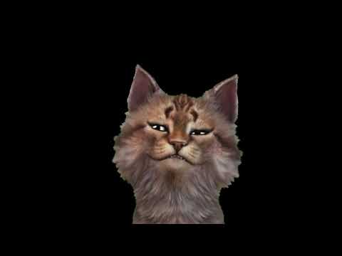 Mute Cat Meyaw meyaw