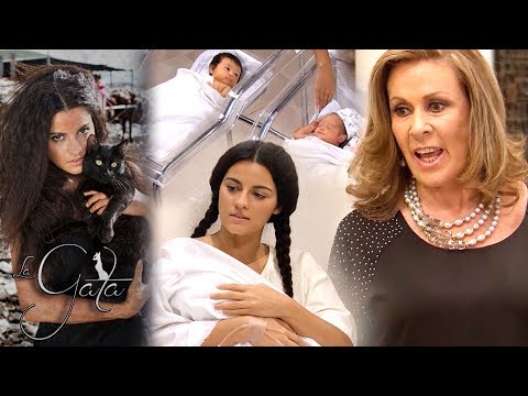 La Gata - Capítulo 13: ¡Esmeralda da a luz a gemelos! | Tlnovelas