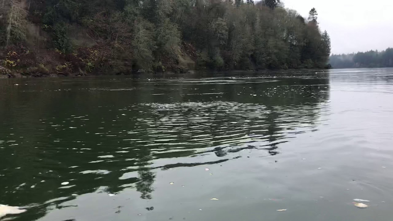 Hammersley Inlet 11-18 1 - YouTube