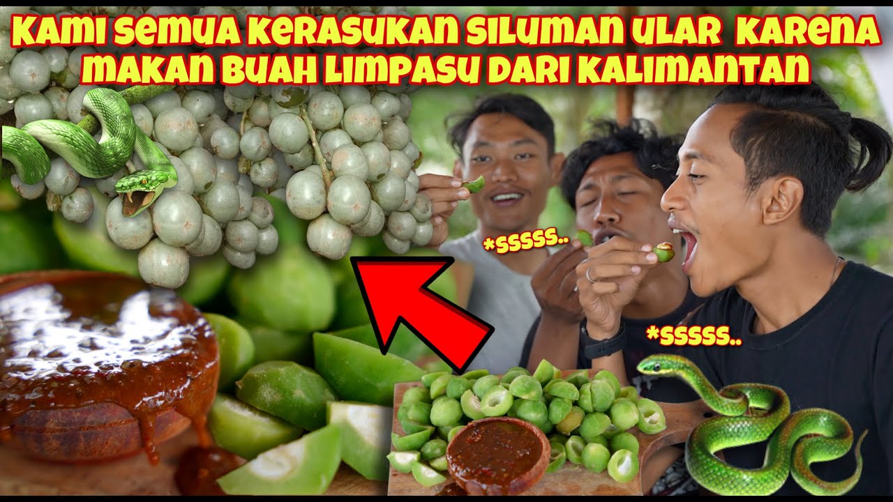 RUJAK BUAH LIMPASU ASLI HUTAN KALIMANTAN - YouTube