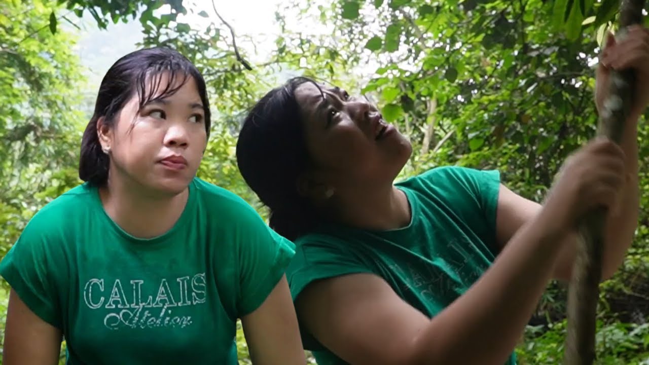 Girl Survives in the Forest: Foraging Wild Fruits and Avoiding the ...