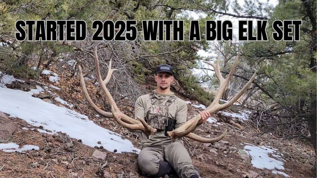 SHEDHUNTING ELK Sheds 2025 [ Big set with HUGE 3rds ] - YouTube