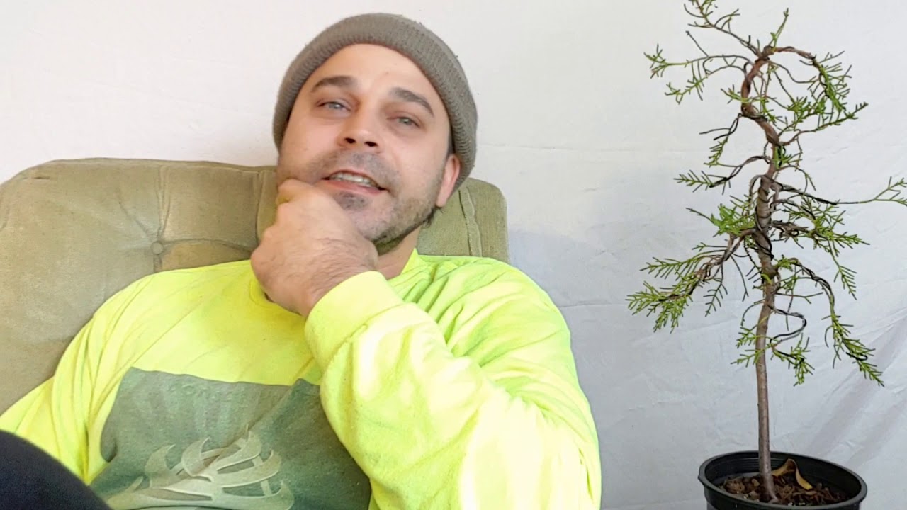 GOOD MORNING BONSAI HUNTERS | The Shutdown #GMBHS - YouTube