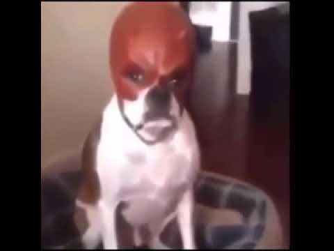 How he felt after saying that - YouTube