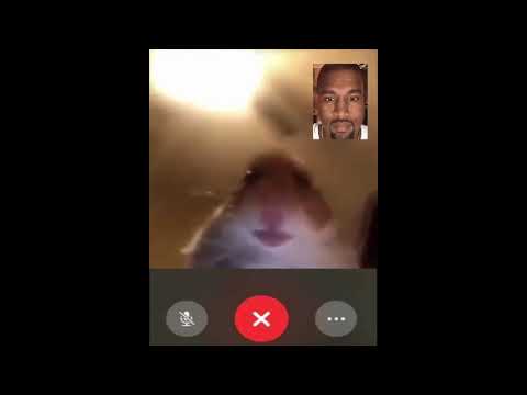 Hamster and Kanye's Awkward Facetime Call (10 Hours)