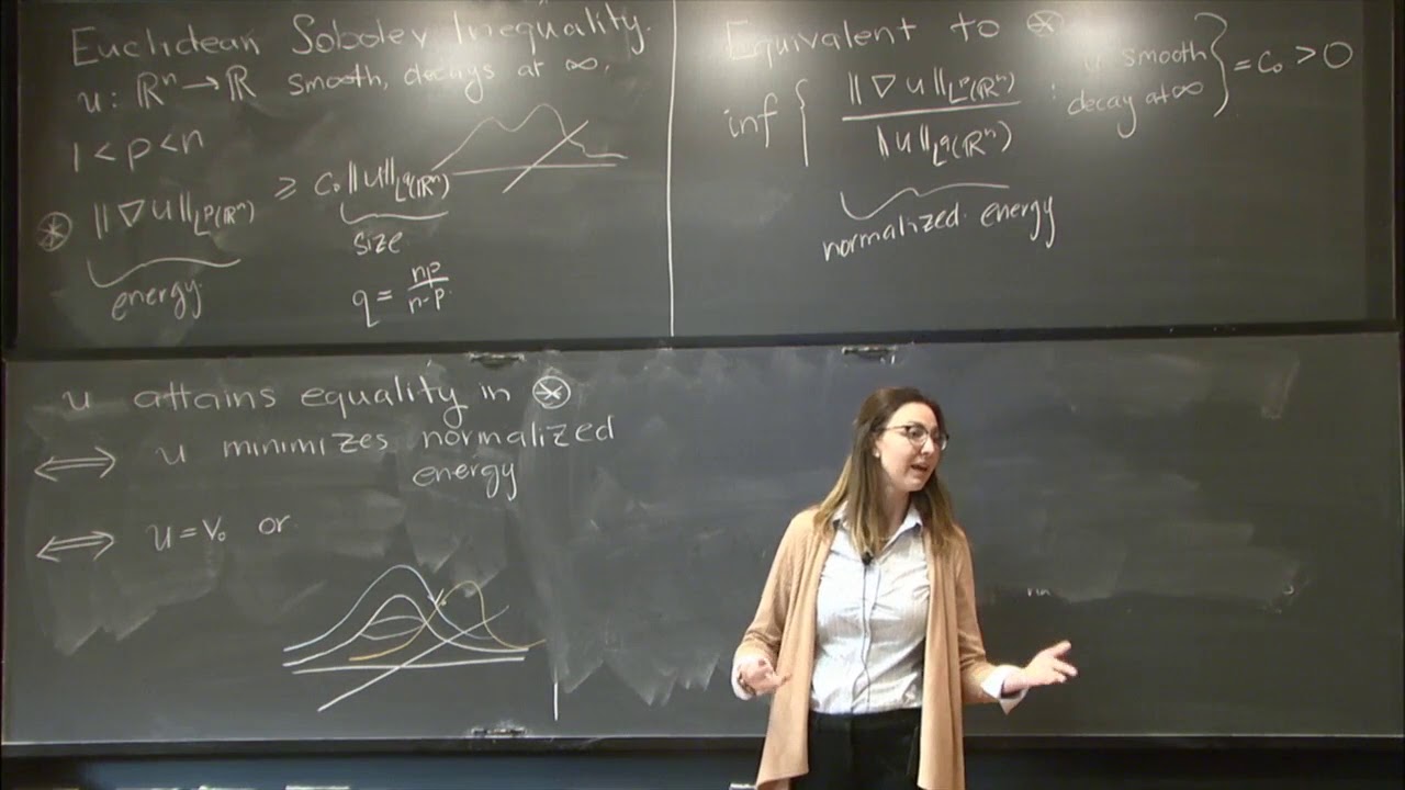 Stability for functional and geometric inequalities - Robin Neumayer ...
