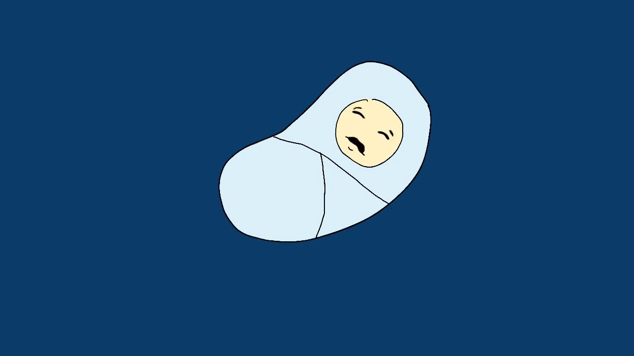 Baby boom (short animation) - YouTube