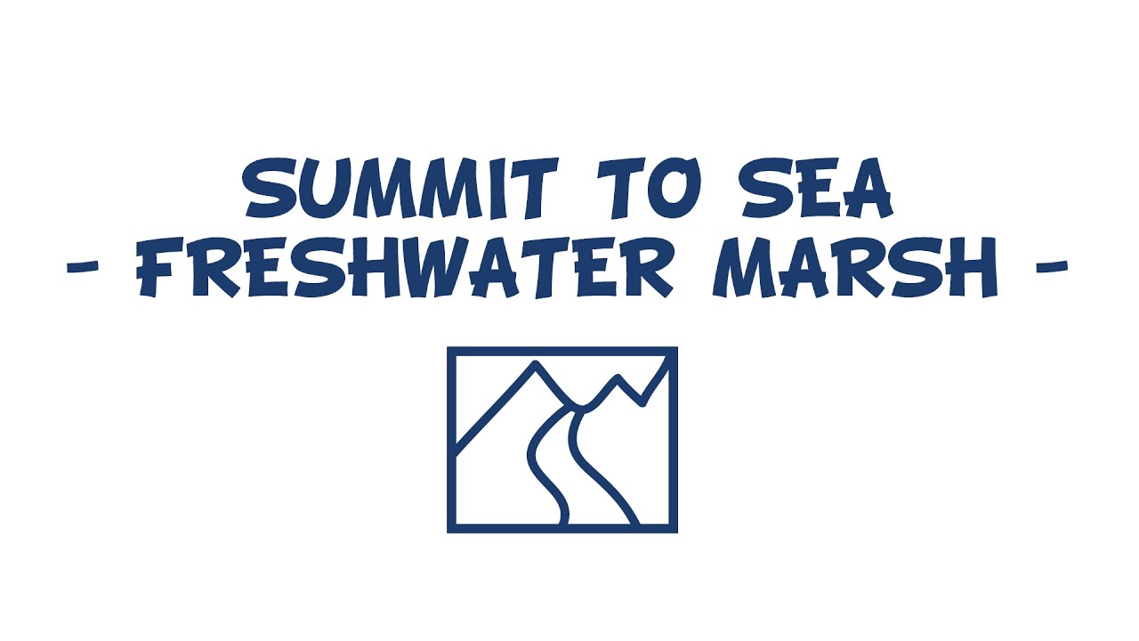 3. Summit to Sea - Freshwater Marsh - YouTube