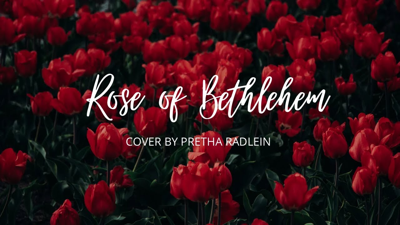 Selah-Rose of Bethlehem (Cover by Pretha Radlein) - YouTube