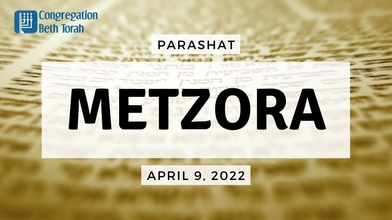 D'var Torah: Parashat Metzora 4/9/22 - Congregation Beth Torah - YouTube