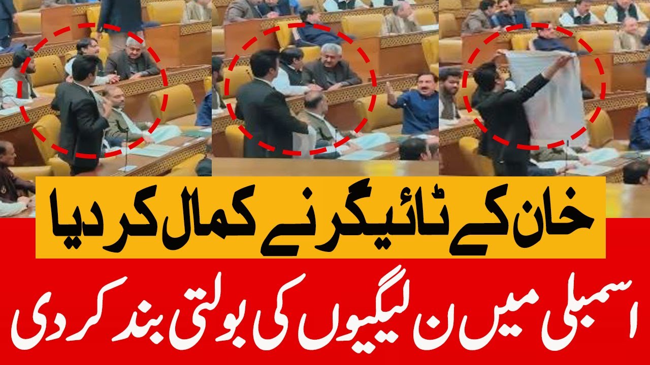 PTI Tiger Unbelievable Video in Assembly | Imran Khan Supporter | Punab ...