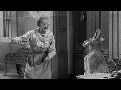 Why 'The Beverly Hillbillies' "Giant Jackrabbit" Episode Was One Of The ...