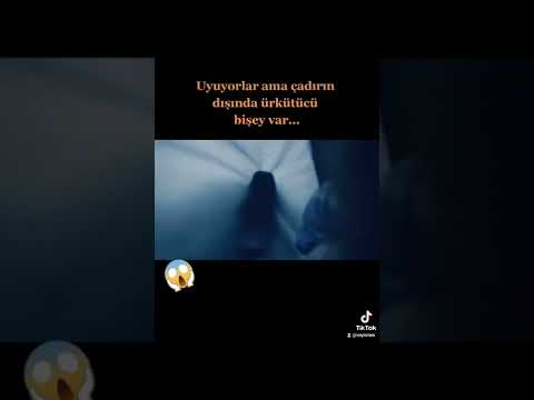 Film - Ölüm Ormanı - Ayı Var