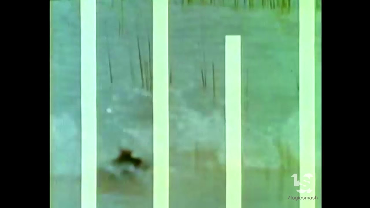 Don Meier Productions (1963) - YouTube