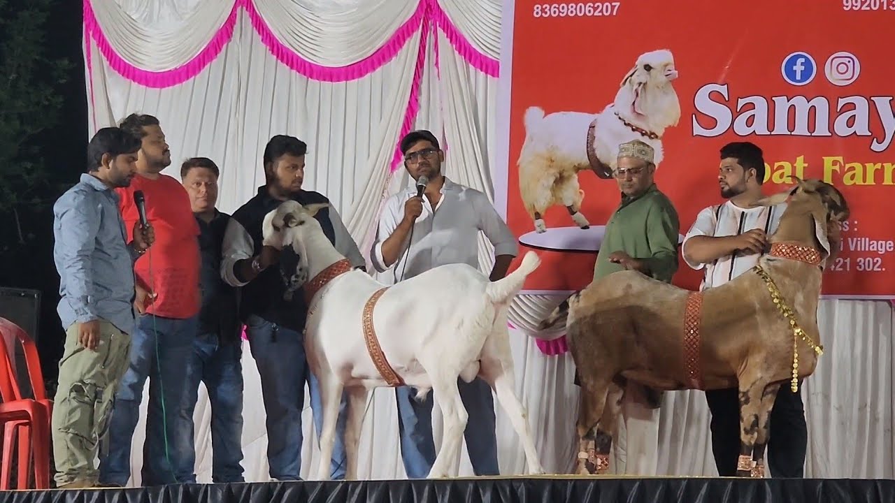 Samaya Goat Farm Show 2024 | Palai Ka Jabardast Results | Irfan Bhai Ki ...