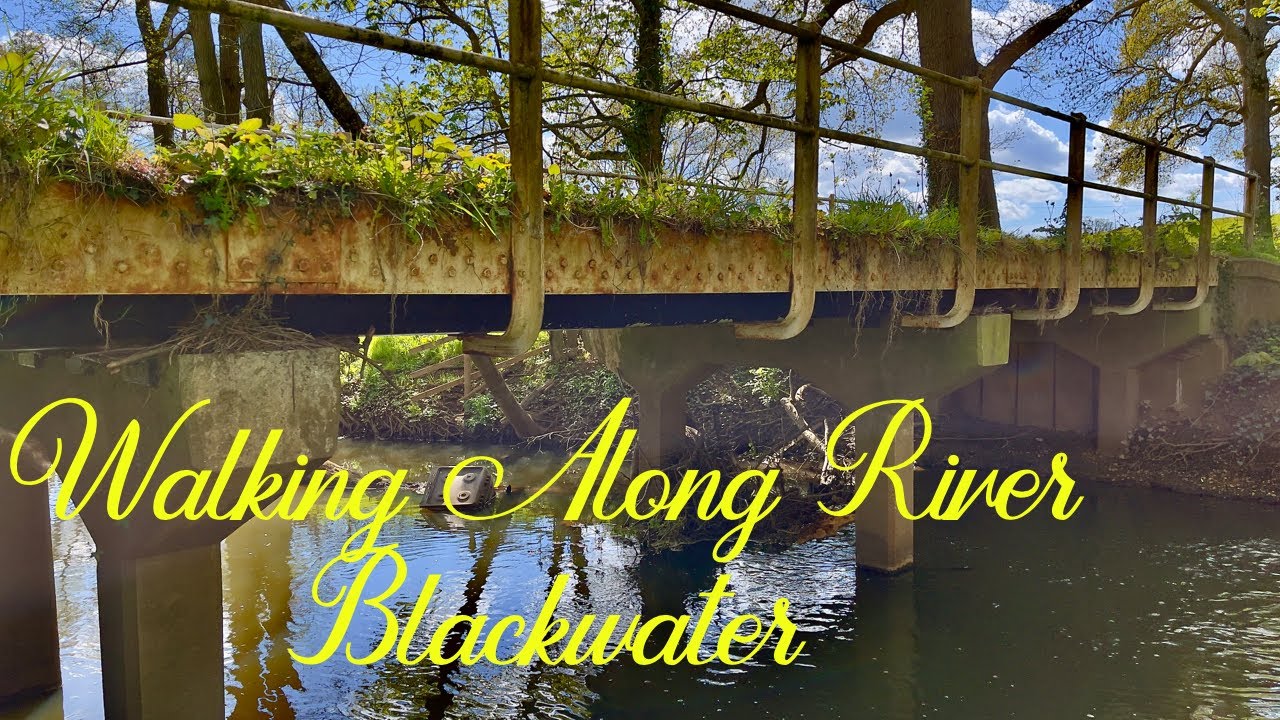 River Blackwater In Hampshire 4K - YouTube