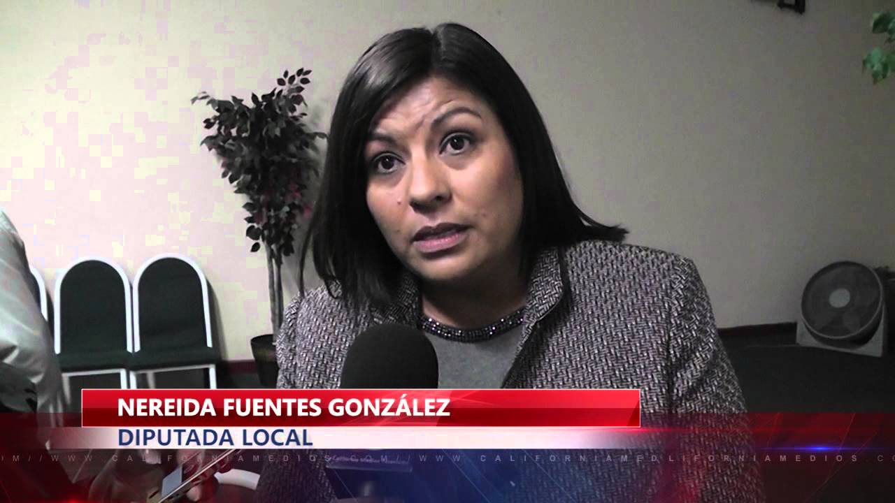 Si No Hay Resultados Nadie Saldrá a las Urnas; Nereida Fuentes ...