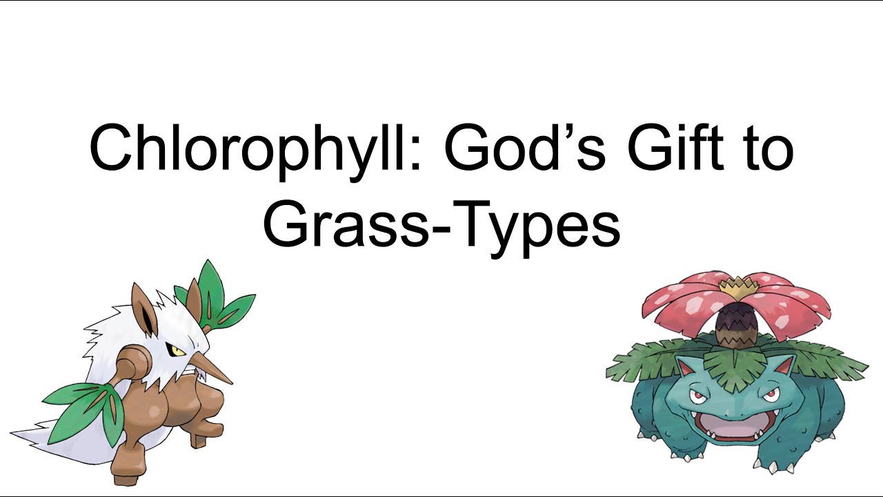 A PowerPoint about Chlorophyll - YouTube