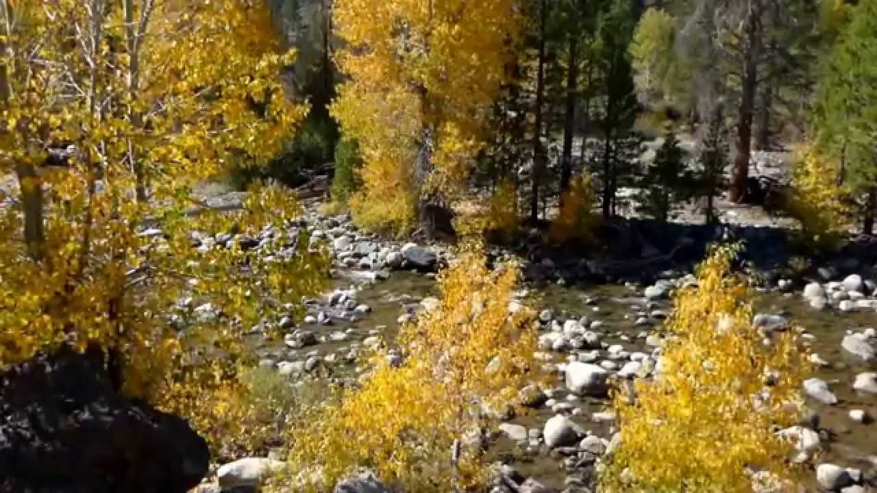 West Walker River at the Pickel Meadow Fishing Access - YouTube