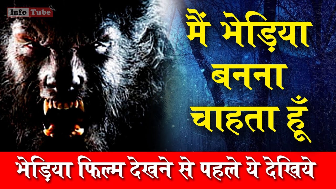 मैं भेड़िया बनना चाहता हूँ | Bhediya | Wolf | Facts about Wolf - YouTube