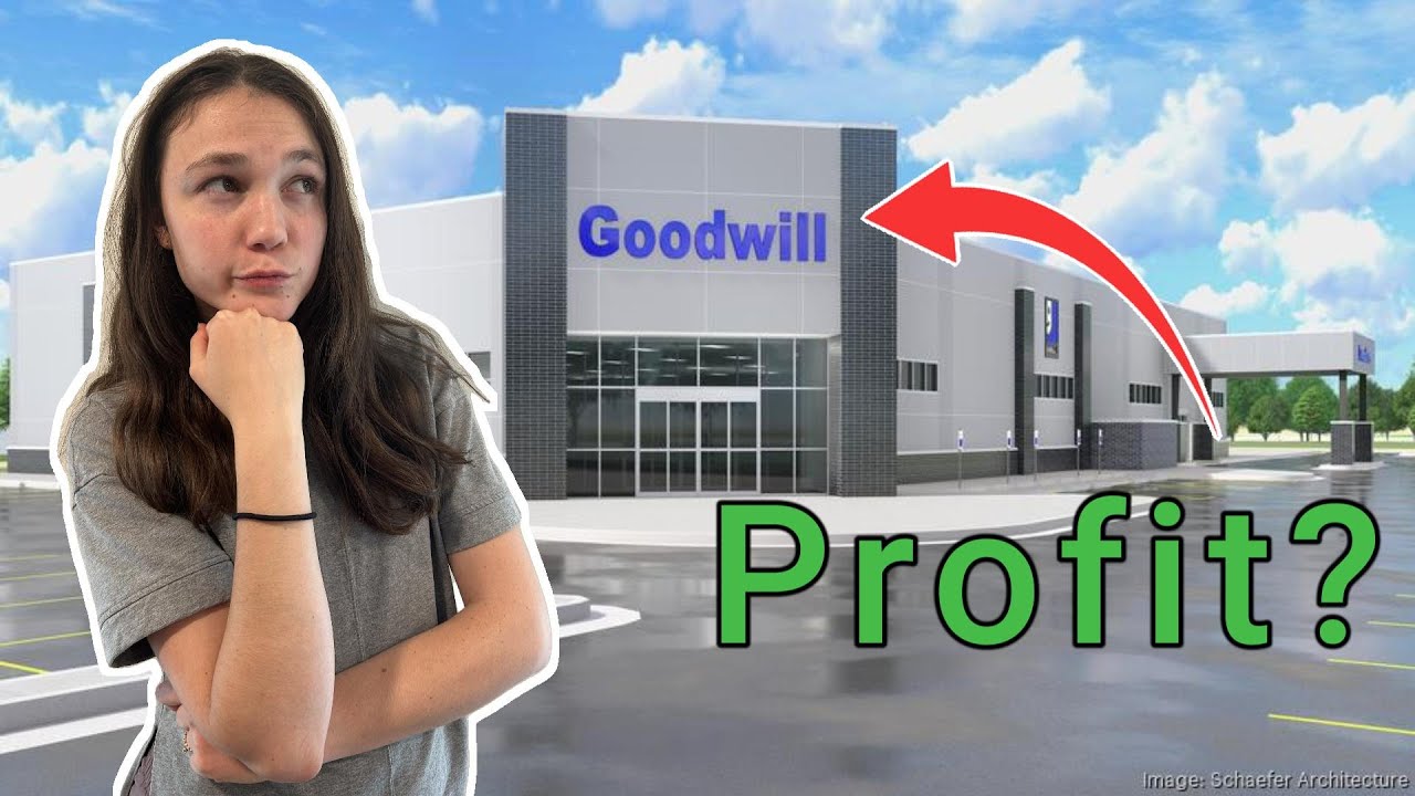 Can I Find 50 Profitable Items In Goodwill? - YouTube