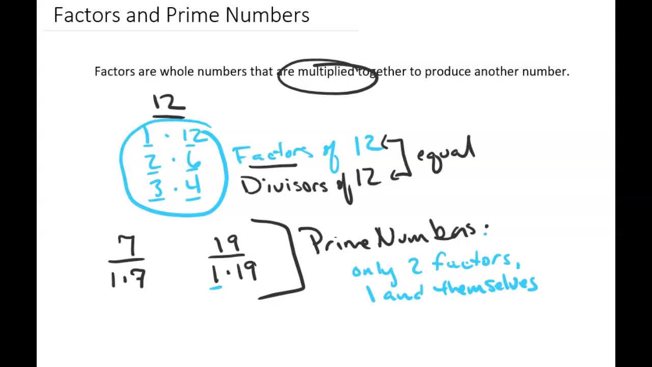 Factors and Prime Numbers - YouTube