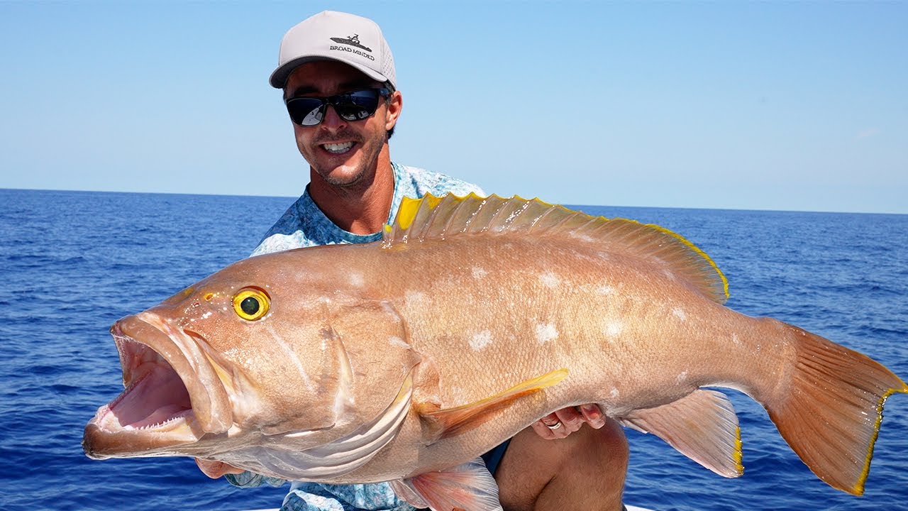 HUGE Groupers in 600'! Bait and Slow Pitch Jigs! (Catch/Clean/Cook ...