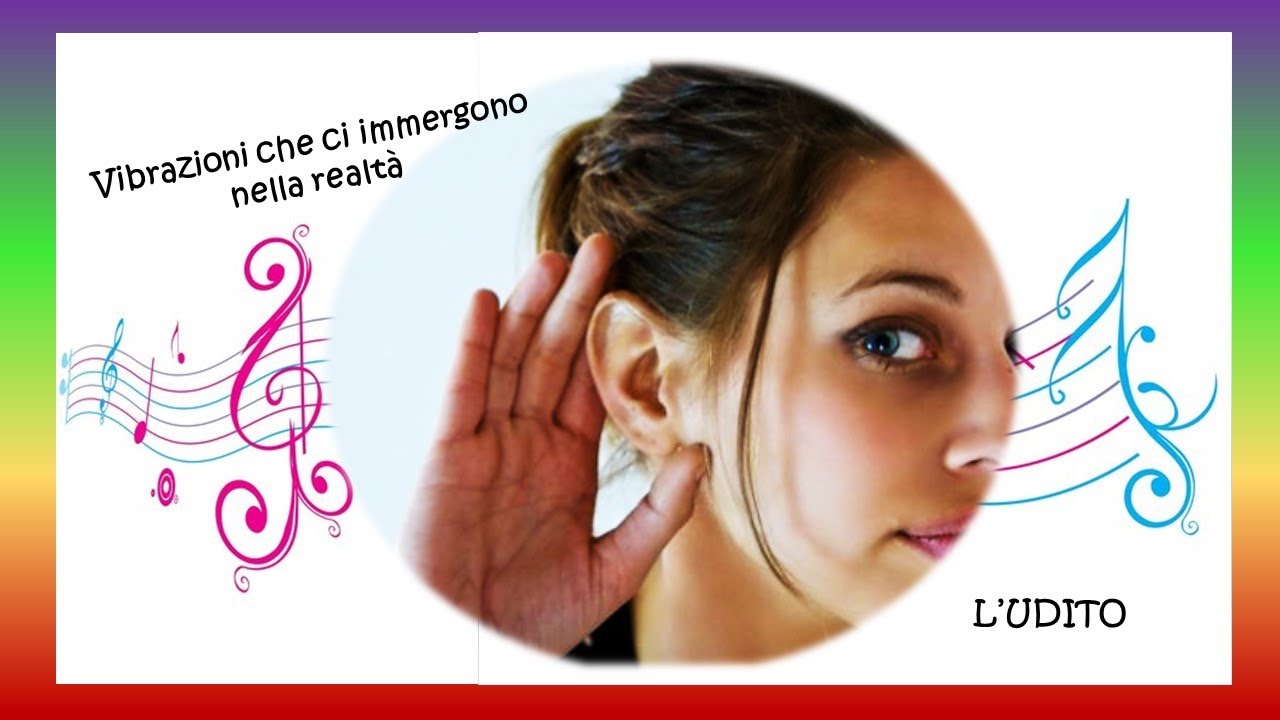 Vibrazioni che ci immergono nella realtà: l'UDITO. Un organo di senso ...