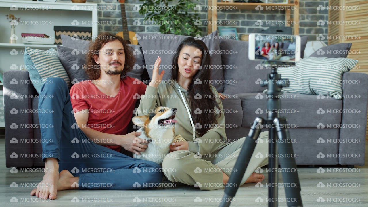 Couple of vloggers recording video at home caressing corgi dog using ...