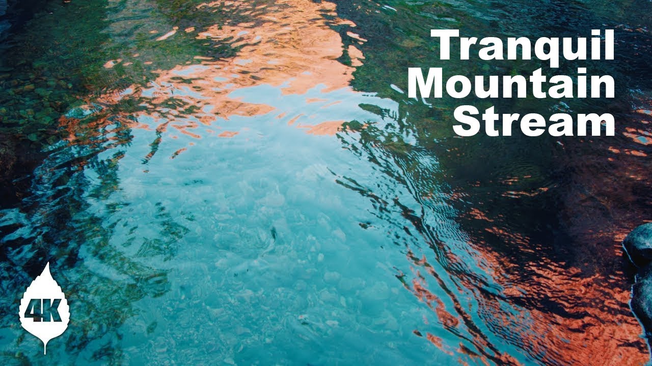 Relaxing Mountain River Sounds in Big Sur, California - YouTube