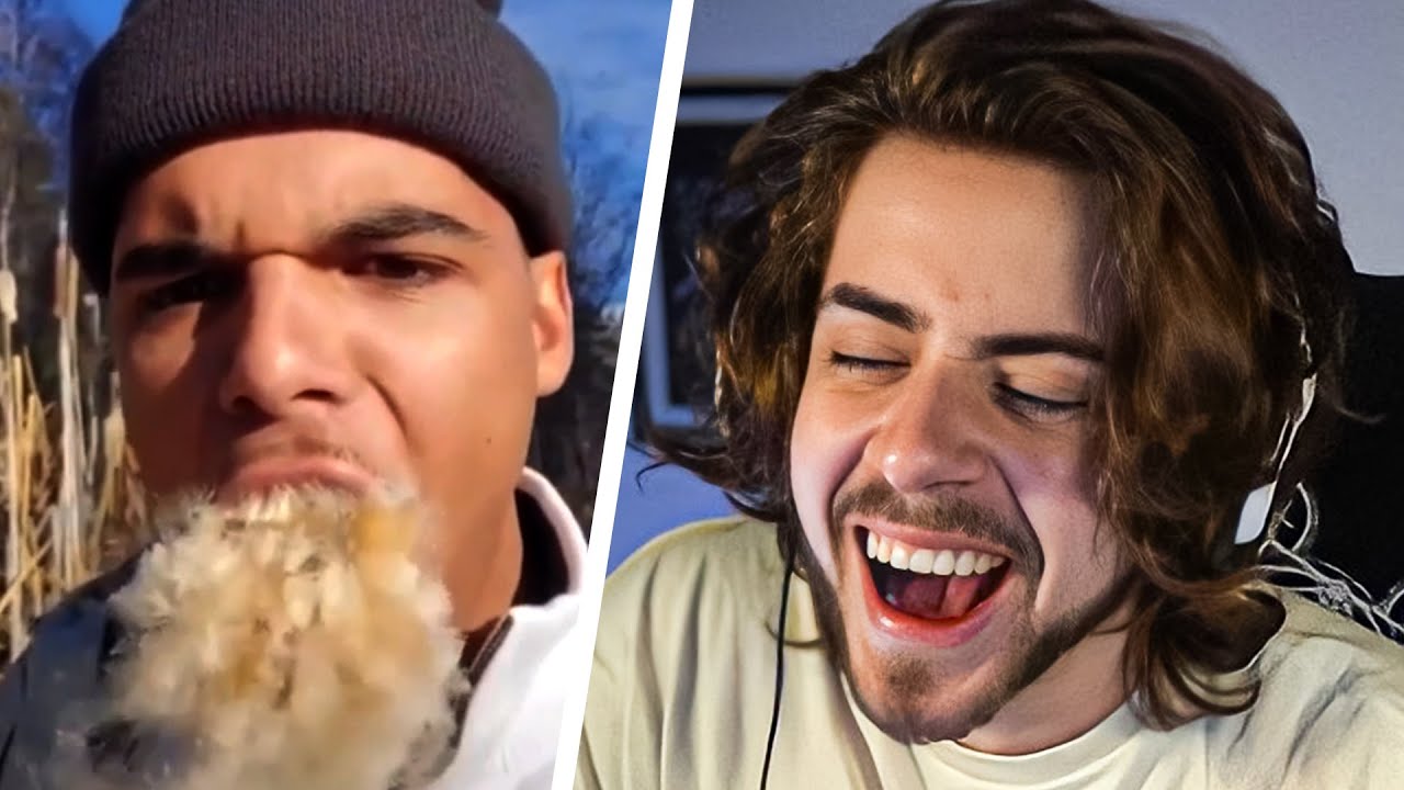 memes do reddit que vão melhorar seu dia - YouTube